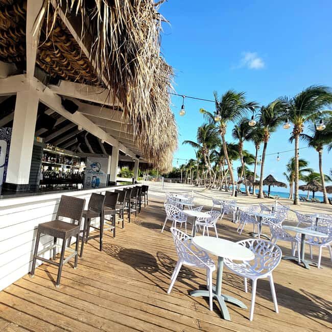 Private: La Romana, Catalina Island Snorkeling & Beach Trip - The Sum Up