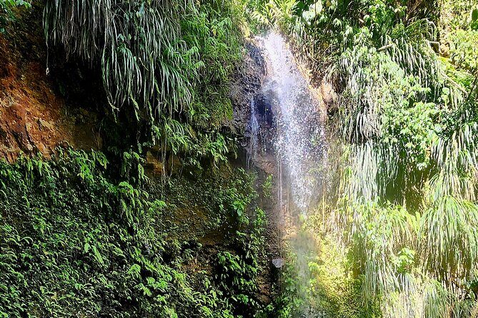 Private La Soufriere Drive-In Volcano Minibus Tour St Lucia - FAQ