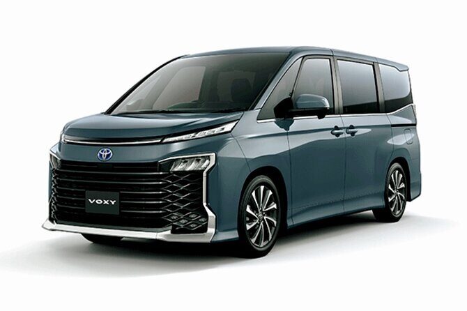 Private Lady Hamilton Grand Palladium Roundtrip Airport Transfer - Value and Pricing