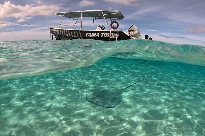 Private Lagoon Exploration and Snorkeling in Moorea - FAQ About the Private Lagoon Snorkeling Tour in Moorea