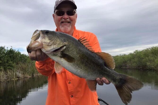 Private Lake Istokpoga Bass Fishing Charter in Sebring - The Experience: Pros and Cons