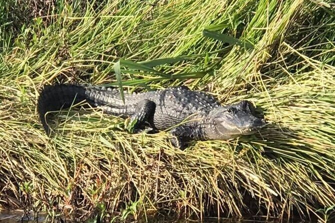 Private Lake June Fishing Charter in Florida - Key Points