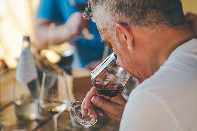 Private Langhe and Barolo Wine Tour from Milan - Itinerary Breakdown: Real Experience in Every Stop