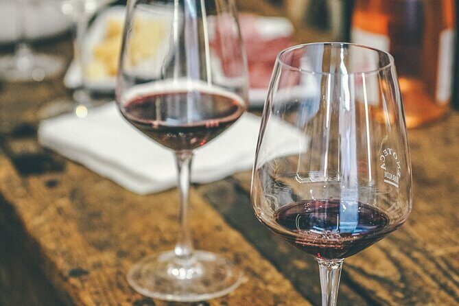 Private Langhe and Barolo Wine Tour from Milan - Accessibility and Cancellation Policy