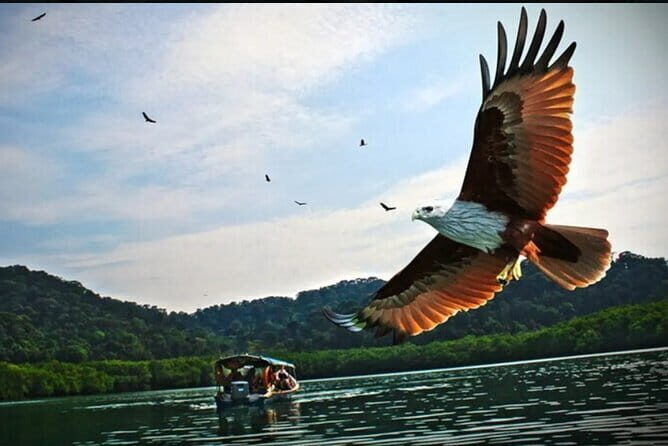 Private Langkawi Departure Transfer to Airport - What You’re Getting