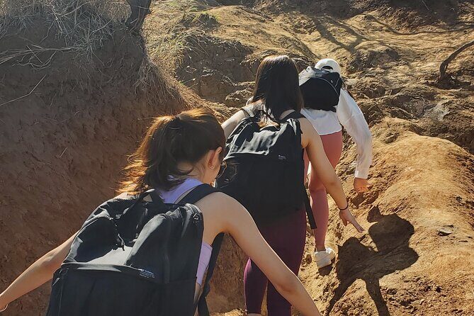 Private Lanikai Pillbox Hike and Lanikai Beach Excursion - Discovering the Lanikai Pillboxes and Beach