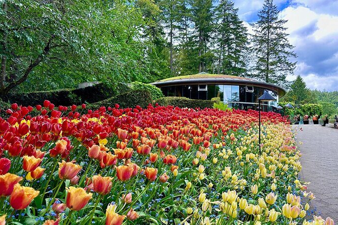 Private Large Group Tour! Butchart Gardens and Victoria City BC - The Ride and the Journey