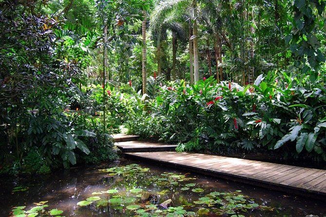 Private Lautoka Shore Excursion including Viseisei Village - What Makes This Tour Stand Out?