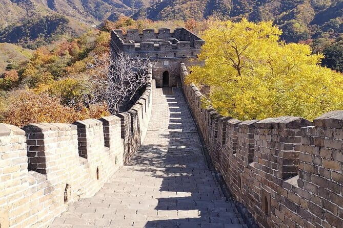 Private Layover Tour of Shanghai City Highlights and Airport Pickup - Final Considerations