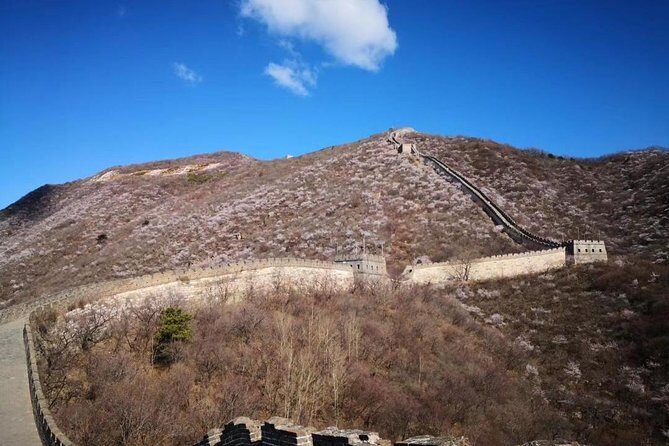 Private Layover Tour to Mutianyu Great Wall and Forbidden City - Summary