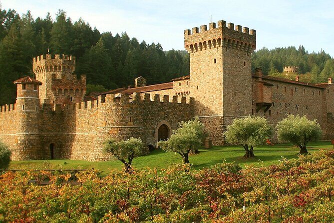 Private Limo Wine Tours in Sonoma and Napa Valley - Transport and Group Size