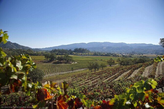 Private Limo Wine Tours in Sonoma and Napa Valley - Who Will Love This Tour?