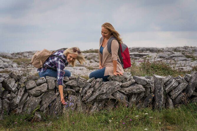 Private Limousine hire Cliffs of Moher Day Tour - Who Is This Tour Best For?