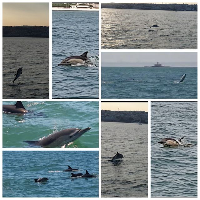 Private Lisbon Sightseeing Sailing Boat Tour with Locals - What to Expect During Your Lisbon Sailing Adventure