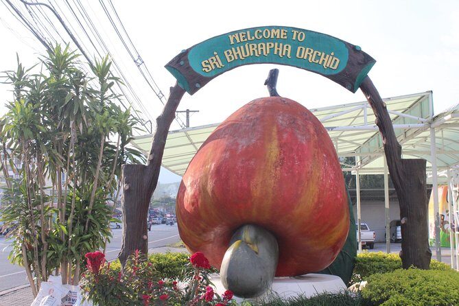 Private local city tour with english speaking driver - What the Experience Includes and What It Doesn’t