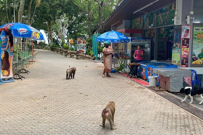 Private local city tour with english speaking driver - The Sum Up: Who Will Love This Tour?