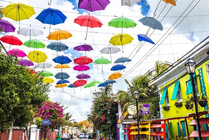 Private Local Flavors and Artisan Tour of Nassau - Key Points