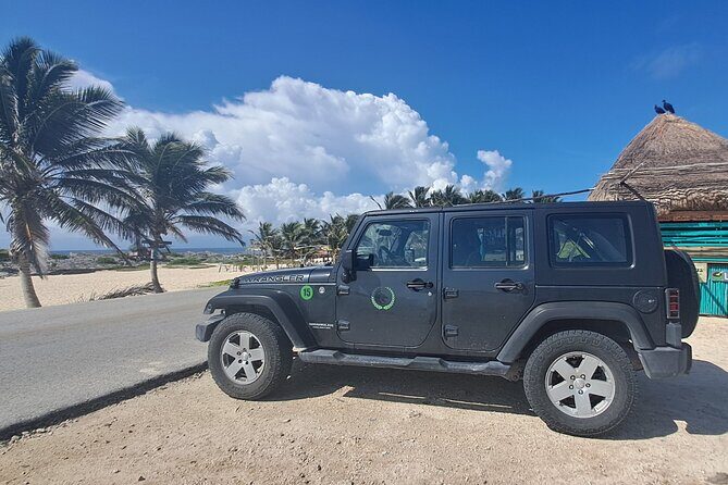 Private Local Island Tour With Food and Snorkel - The Sum Up: Who Is This Tour Best For?