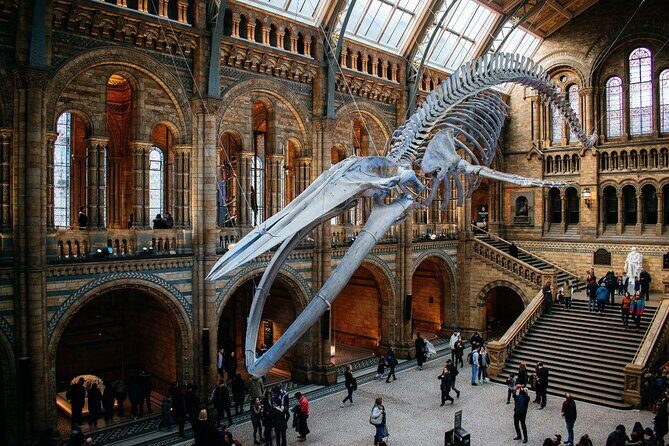 Private London Tour Tailored to Your Interests with a Local Best Suited to You - Key Points