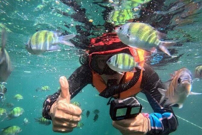 Private Longtail Boat Day Trip to Trang 4 Islands - Final Thoughts: Is This Tour Right for You?