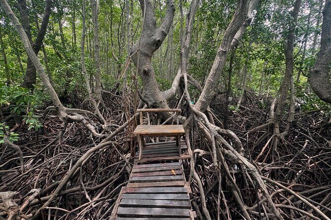 Private Longtail Boat Tour to Koh Madsum & Koh Tan - Who Will Love This Tour?