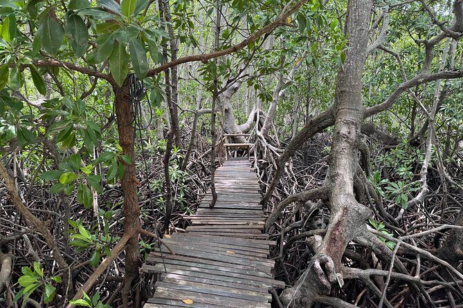 Private Longtail Boat Tour to Koh Madsum & Koh Tan - Practical Tips for Your Trip