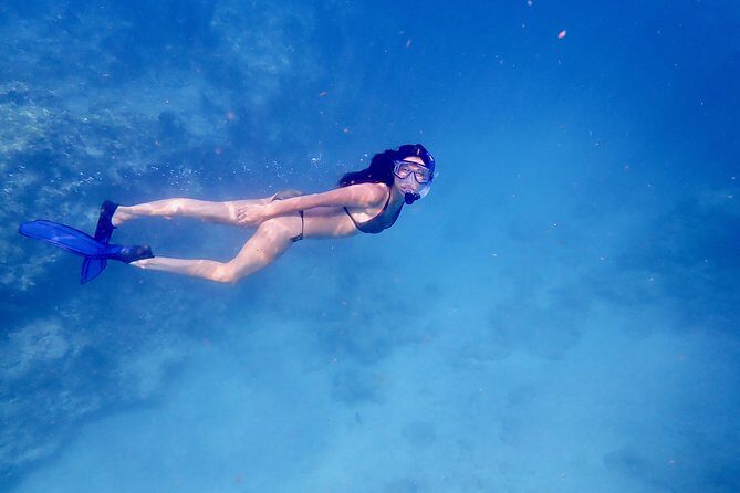 Private Looe Key Snorkel from Big Pine Key - Key Points