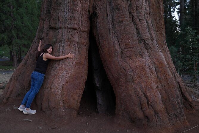 Private Los Angeles to Yosemite Valley Multi Day Tour - Key Points