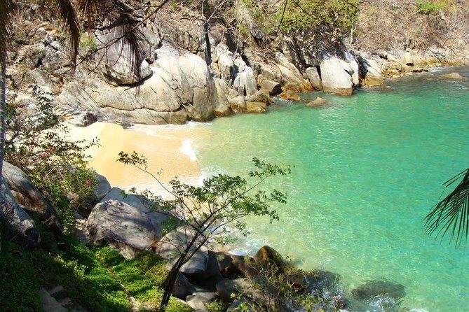 Private Los Arcos Snorkel and Beach Tour from Puerto Vallarta - The Itinerary in Detail: What You Can Expect