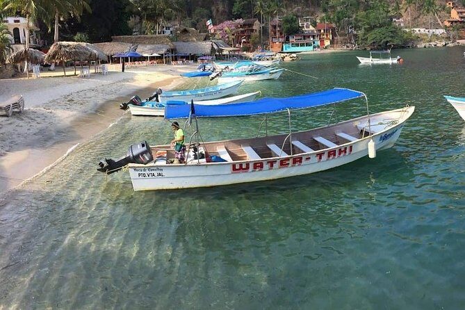 Private Los Arcos Snorkel and Beach Tour from Puerto Vallarta - Final Thoughts: The Value of a Private Day on Banderas Bay