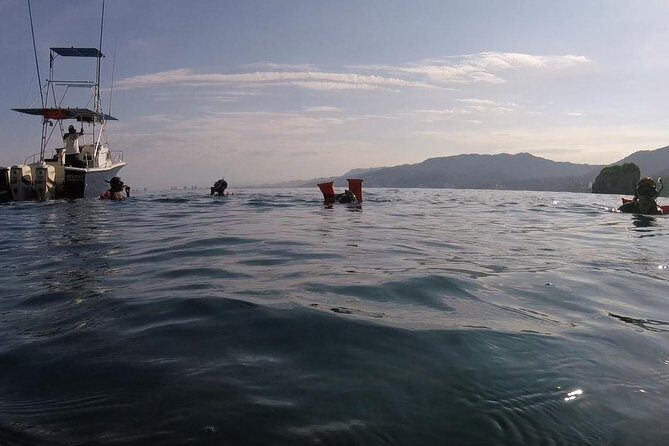 Private Los Arcos snorkeling - The Value of This Tour
