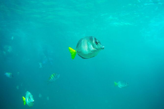 Private Los Cabos Arch & Playa del Amor tour by Glass bottom kayak - An In-Depth Look at the Experience