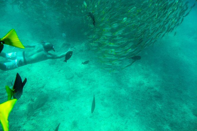 Private Los Cabos snorkeling tour to Chileno bay and Santa Maria cove - FAQs