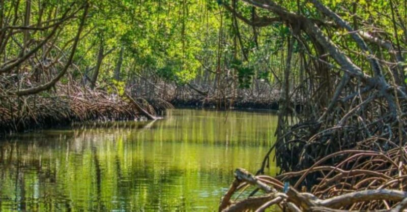 Private: Los Haitises National Park 2-Day Tour with Meals - Key Points