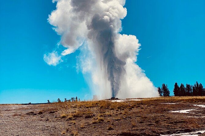 Private Lower Loop Tour of Yellowstone National Park - Exploring the Tour Details