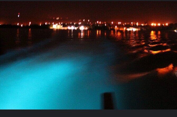 Private Luminous Lagoon Night Cruise from Montego Bay - An In-Depth Look at the Luminous Lagoon Night Cruise