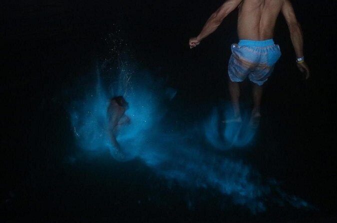 Private Luminous Lagoon Tour from Montego Bay - Authentic Experiences and Genuine Reviews