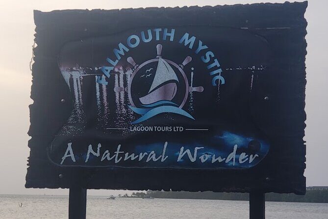 Private Luminous Lagoon Tour from Montego bay - Experience Overview: An Authentic Look at the Tour