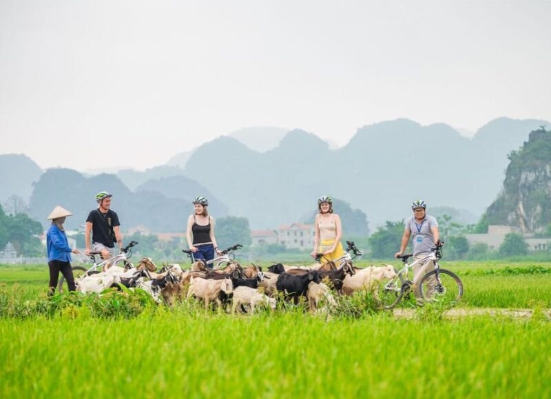 Private Luxury 1 Day Trip: Hoa Lu, Tam Coc, Mua Cave, Biking - Introduction: Why This Tour Might Be Perfect for You