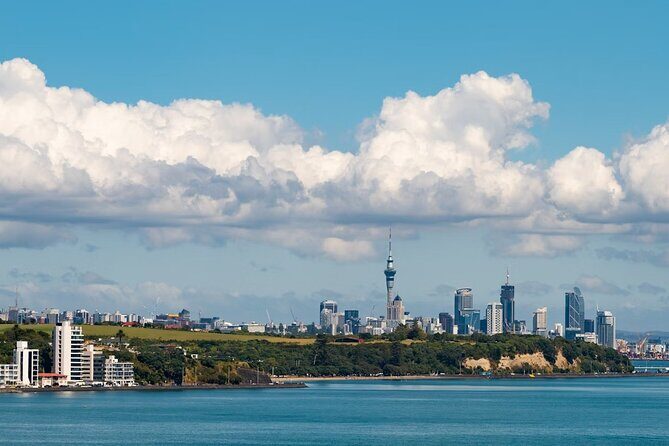Private Luxury Airport Transfer to/from Central Auckland - FAQ
