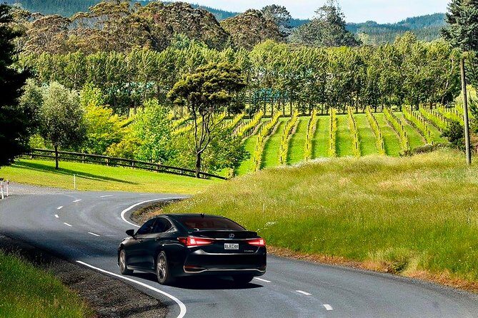 Private Luxury Airport Transfers in Auckland  Sedans & Vans - Who Should Consider This Service?