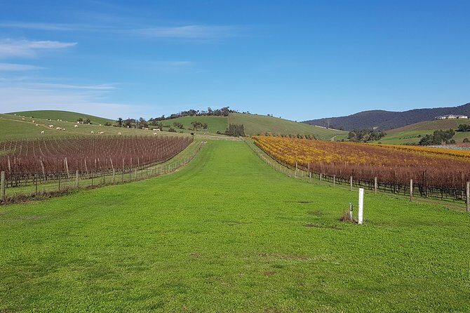 Private, Luxury and Tailored Yarra Valley Wine Tour - Exploring the Private, Luxury and Tailored Yarra Valley Wine Tour