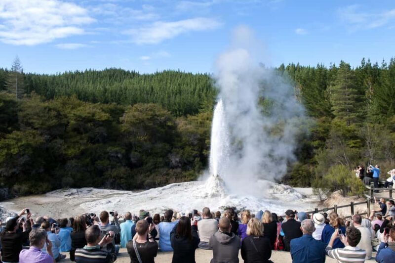 Private Luxury Auckland - Rotorua Geothermal Wonderlands - Why This Tour Offers Great Value