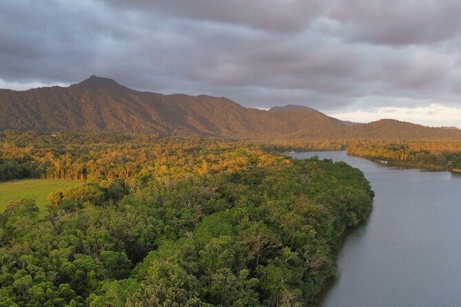 Private Luxury Cape Tribulation Adventure and Crocodile Cruise - The Itinerary: A Well-Curated Journey