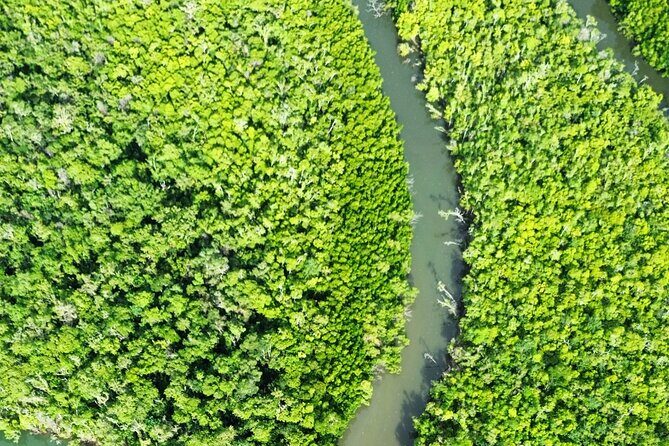 Private Luxury Cape Tribulation Adventure and Crocodile Cruise - Frequently Asked Questions