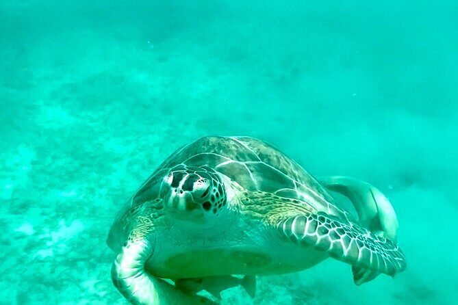 Private Luxury Catamaran Half Day Charter - An In-Depth Look at the Experience