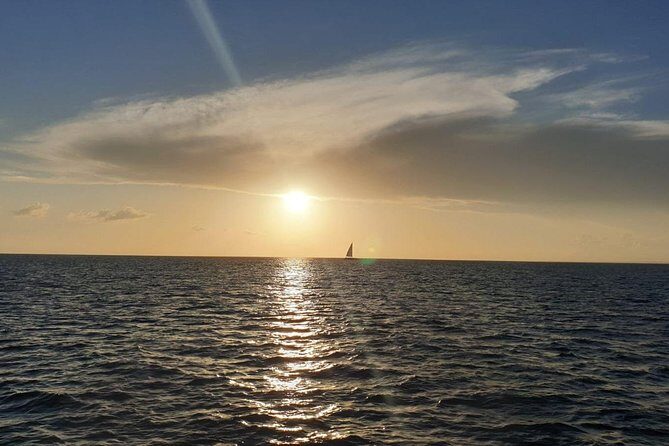 Private Luxury Catamaran - Saona or Catalina island - Authentic Reviews: What Travelers Say