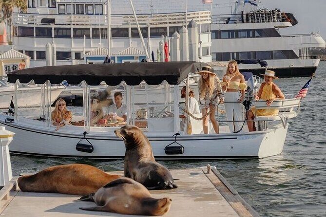 Private Luxury E-Boat Cruise with Wine, Charcuterie & Sea Lions Spotting - Key Points