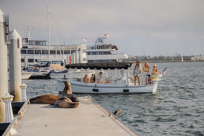 Private Luxury E-Boat Cruise with Wine, Charcuterie & Sea Lions Spotting - The Sum Up