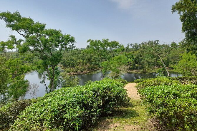 Private Luxury Escape: 2 Day Tea Gardens & Scenic Landscapes - Who is This Tour Best For?